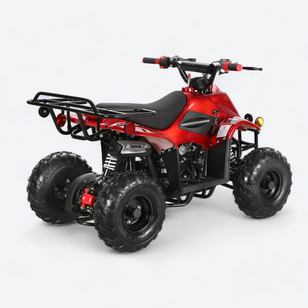 Coolster ATV-3050C: 110cc Youth 6+ Off-Road 4x4 Quad