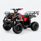 ATVs Quad 4 Wheelers For Kids, Teens and Adults