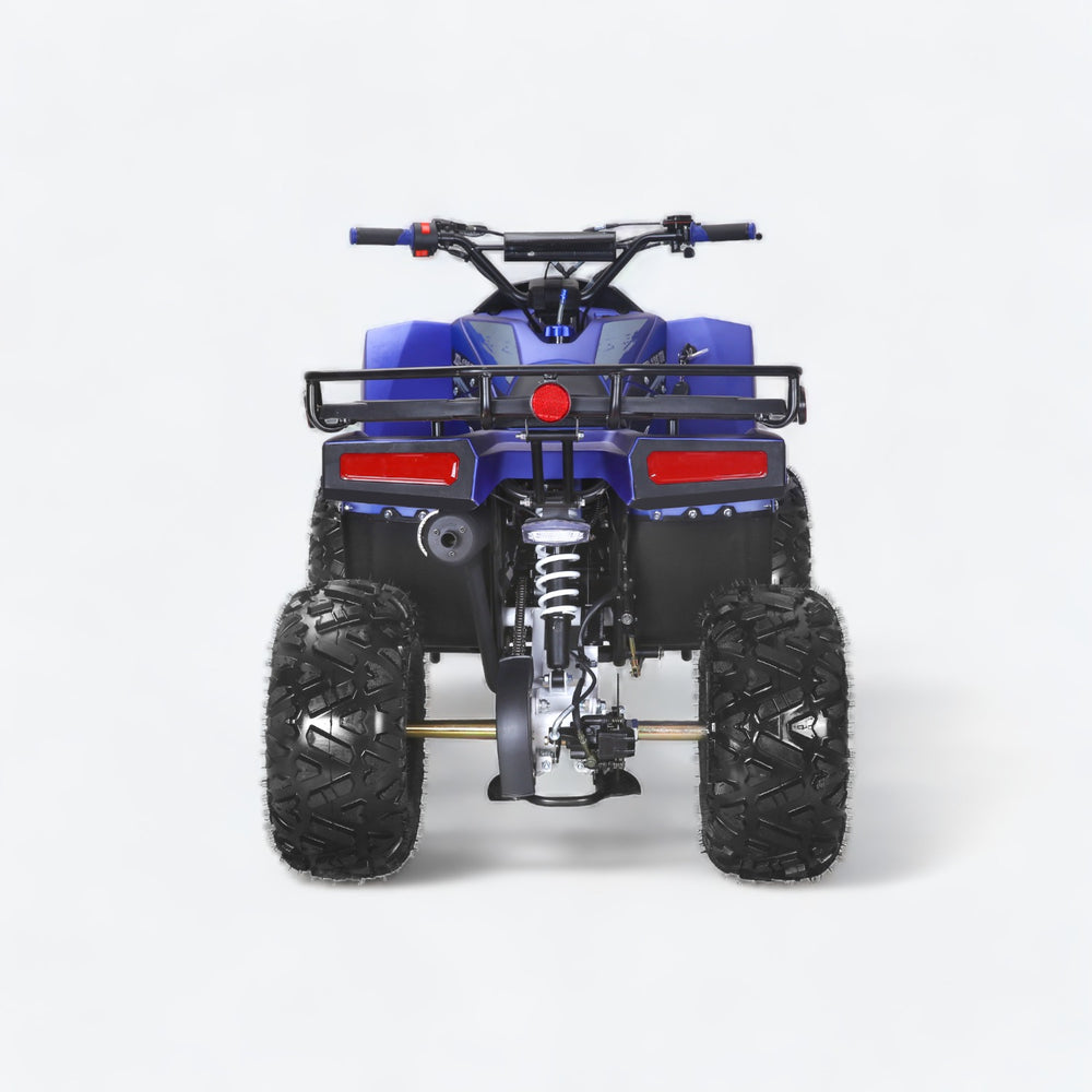 125cc ATV, Utility Quad, Off-Road 4 Wheeler - Coolster ATV-LANDER